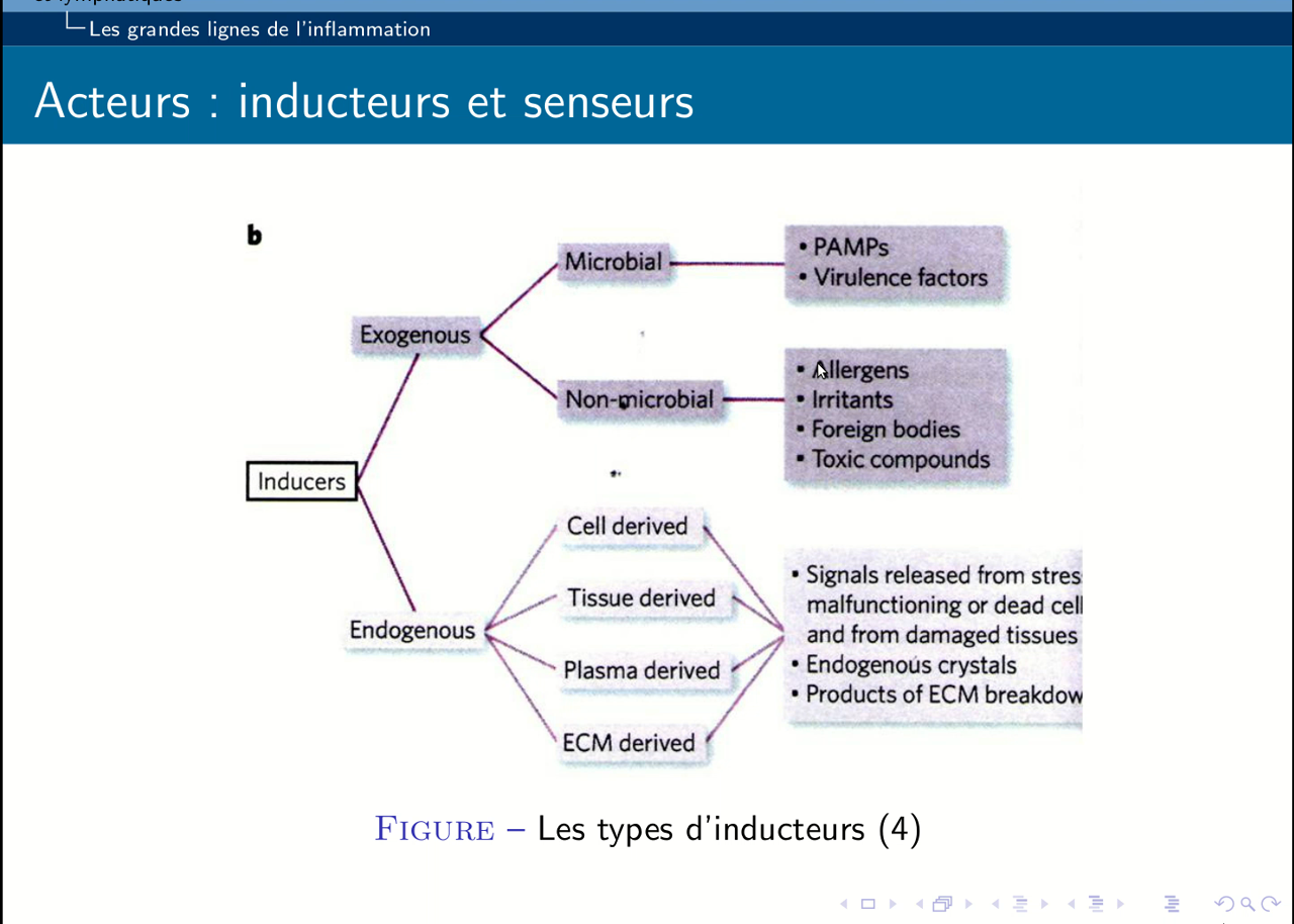 UTLN.Pod - B46 - Chapitre 2 - Iii -Inflammation Locale